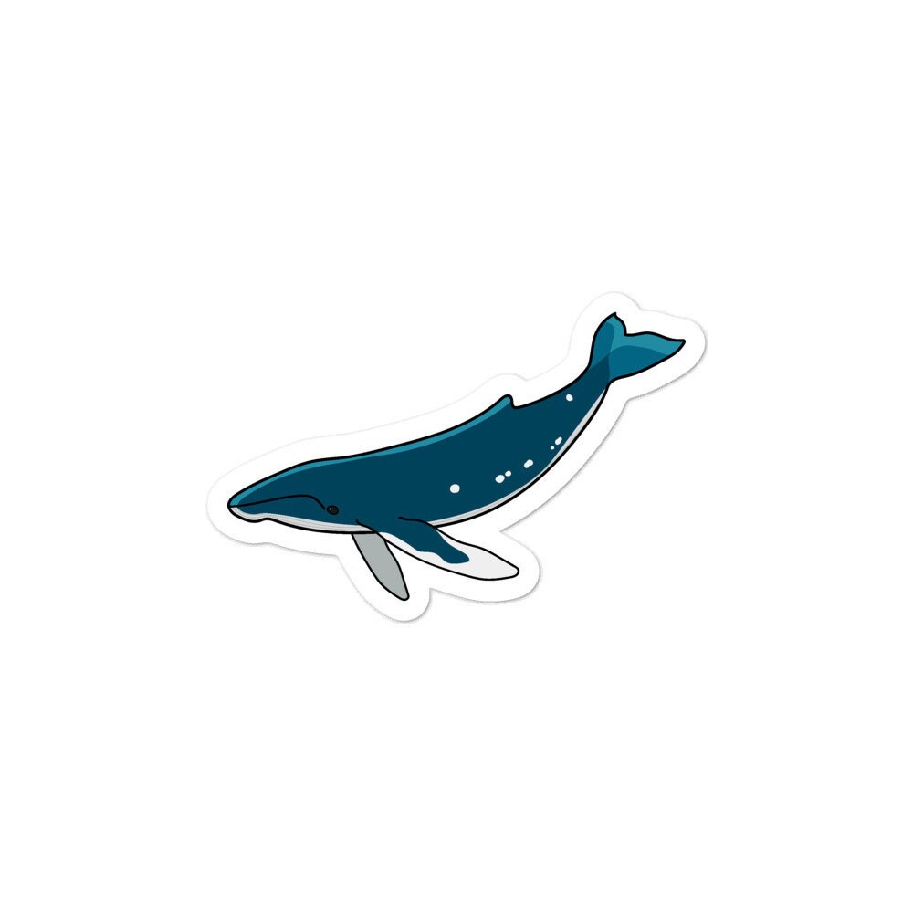 Humpback Whale - Adventucation Sticker - Etsy