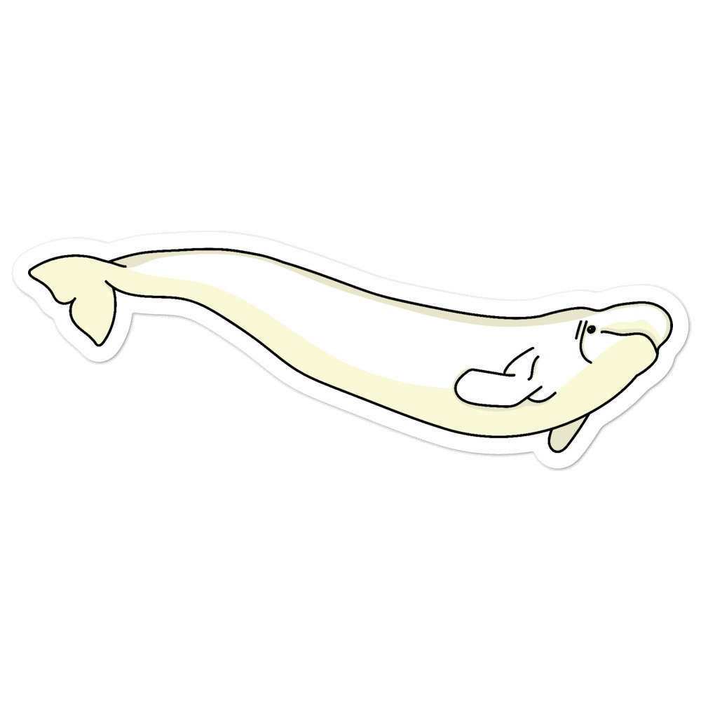 Beluga Adventucation Sticker - Etsy Denmark