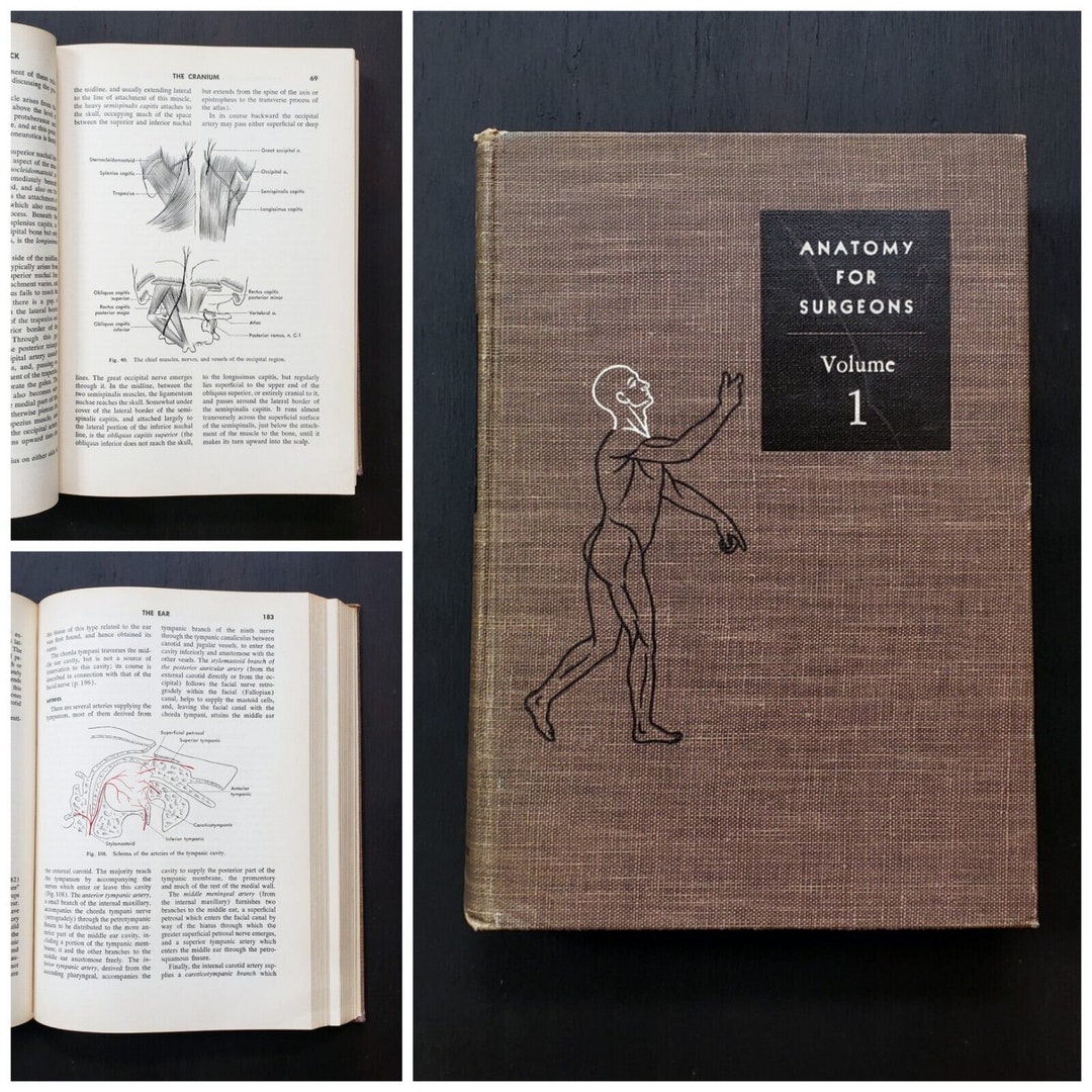 Vintage First Edition 1954 Anatomy for Surgeons Head and Neck Volume 1 ...