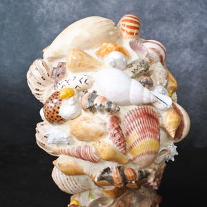 Vintage Large Ancient Greek Style Shell Goddess Bust Statue Art ...