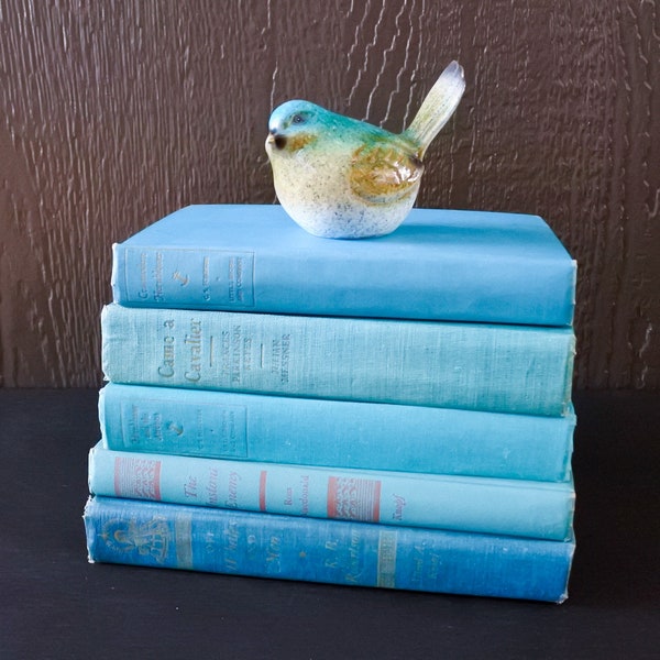 Turquoise Book Set - Etsy