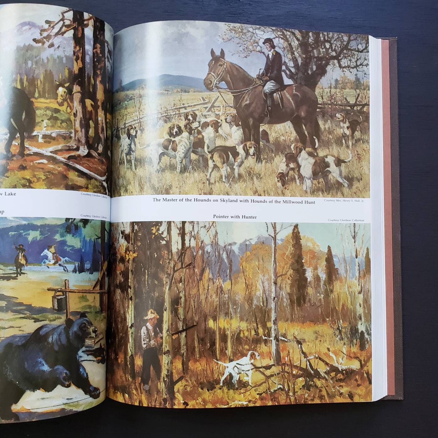 Vintage 1988 First Edition Mountain Man the Story of Belmore Brown by ...