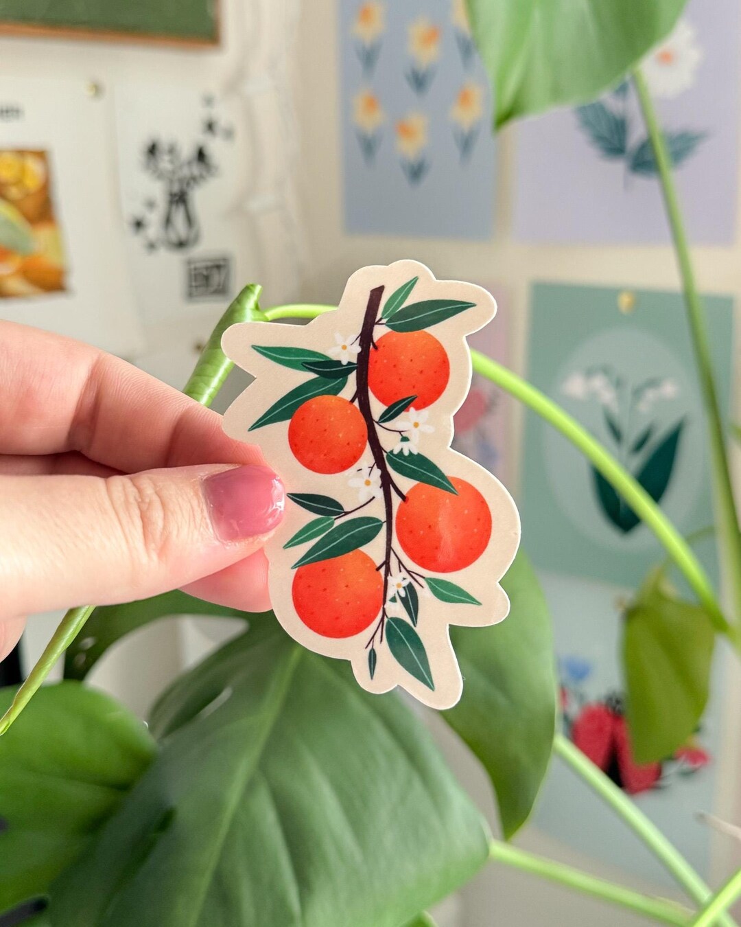 Orange Branch Sticker: Illustrated Citrus Fruit, Water-resistant Vinyl ...