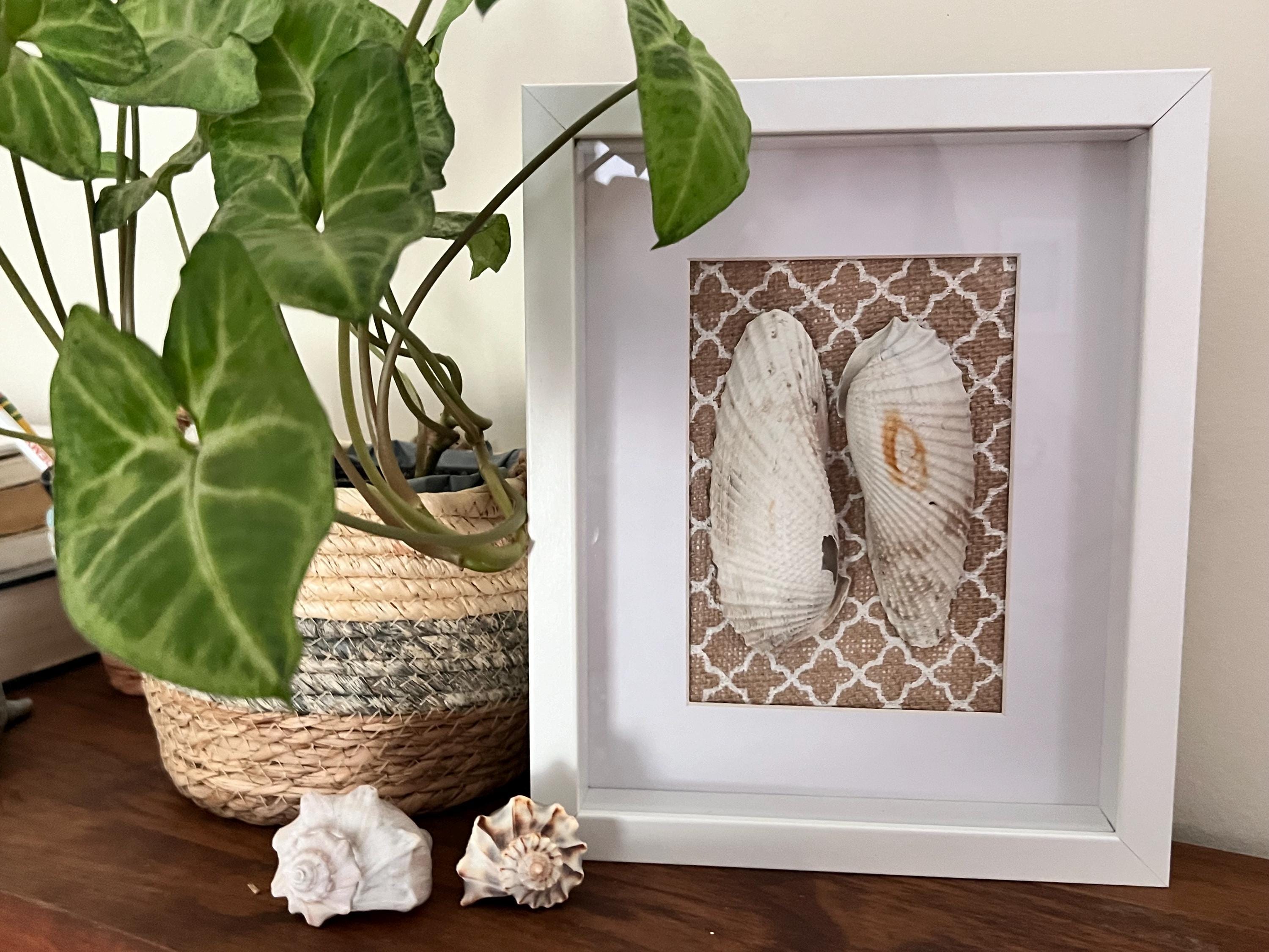 Sea Shell Angel Wings Beach House Home Decor - Etsy