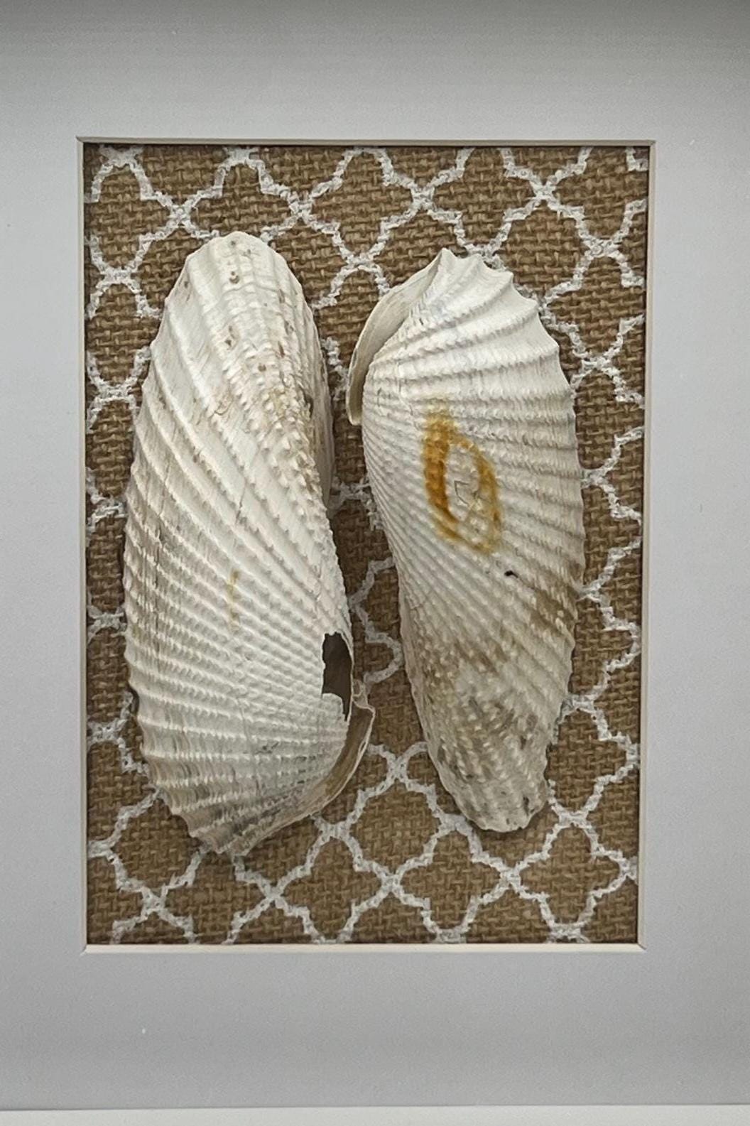 Sea Shell Angel Wings Beach House Home Decor - Etsy
