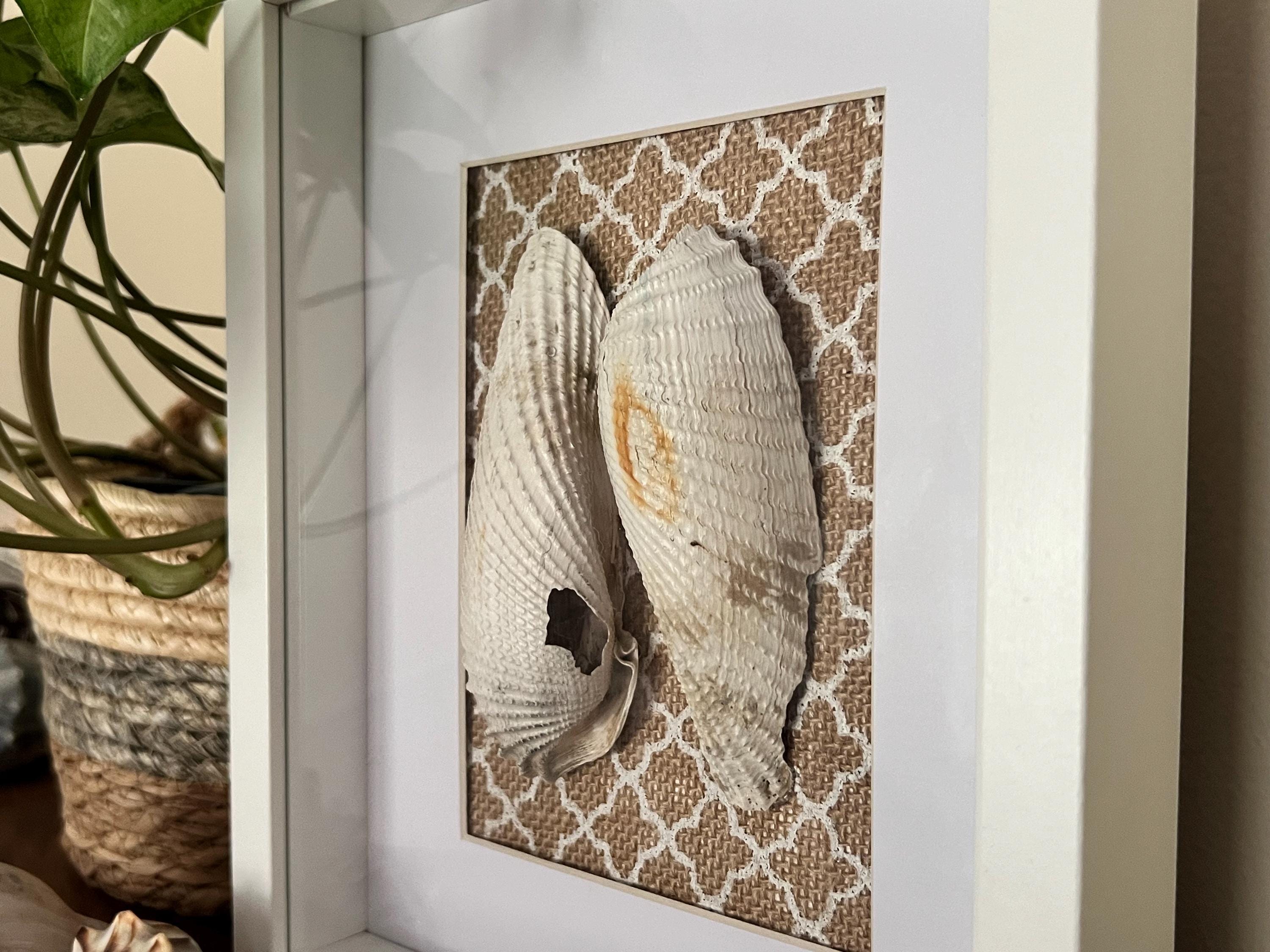 Sea Shell Angel Wings Beach House Home Decor - Etsy