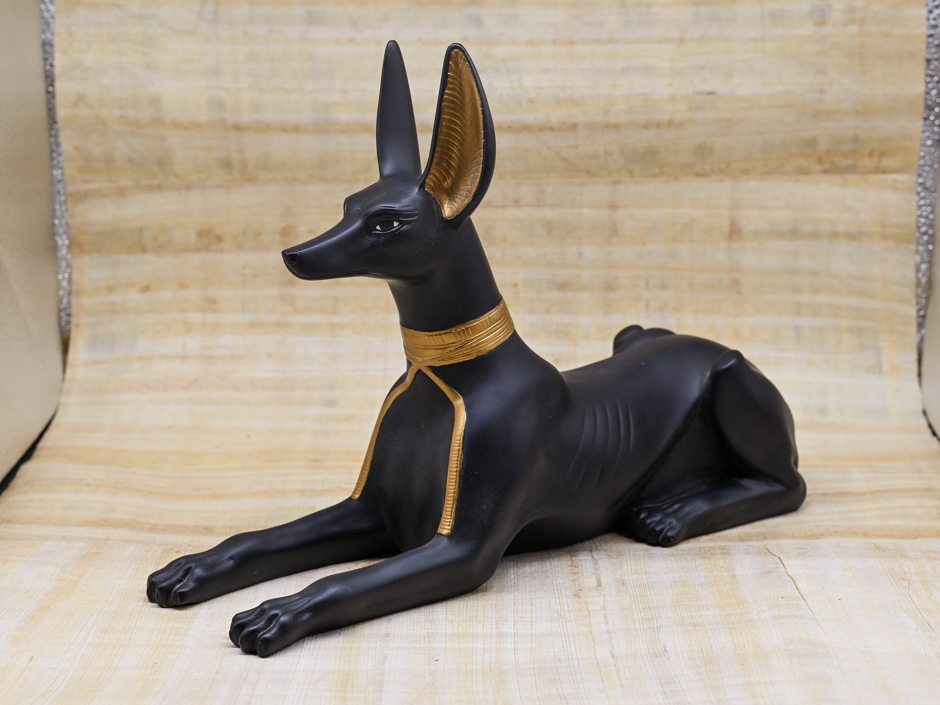 Egyptian Black Jackal