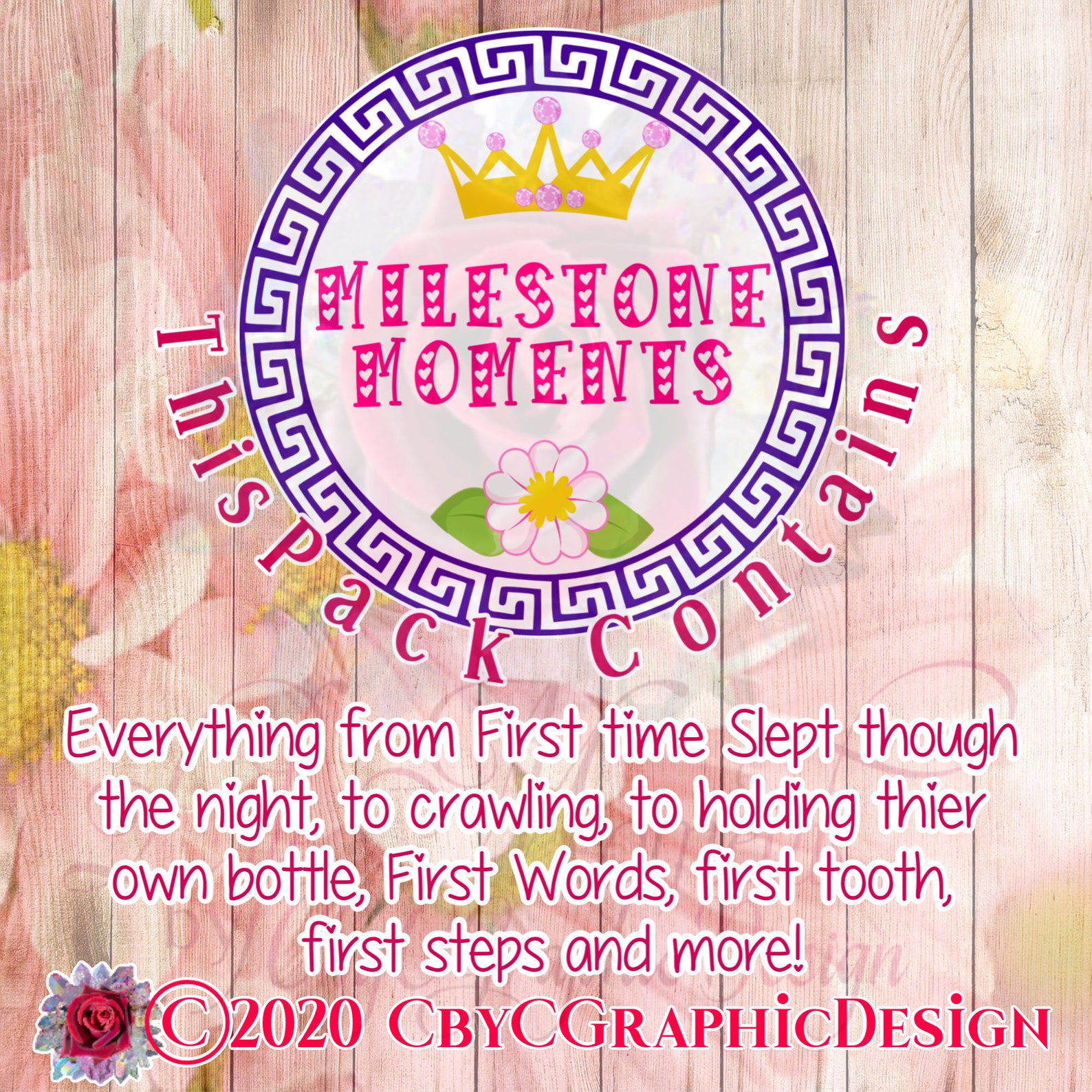 First Year of Life Milestone Stickers, Months Old, First Holidays and ...