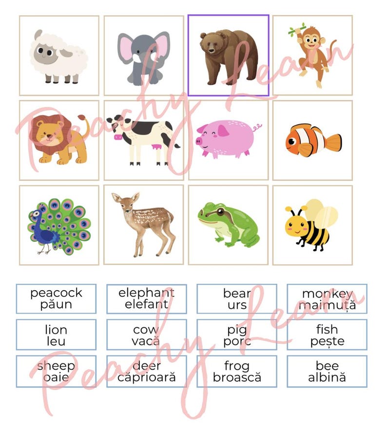 Romanian English Animals, Cutting, Gluing Activity, Animal Education ...