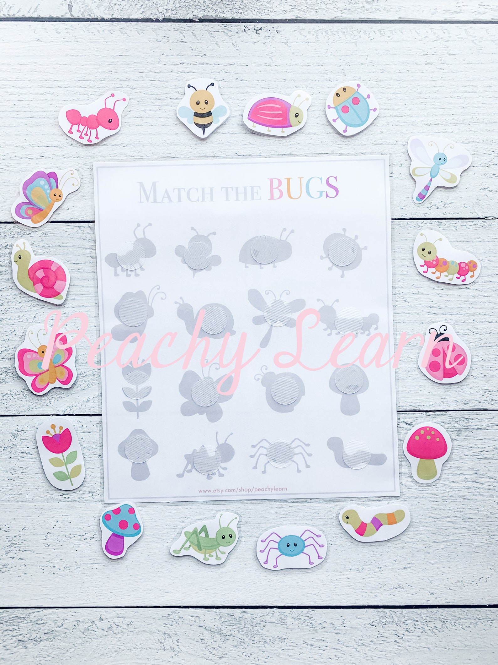 Bugs Shape Matching, Memory Game, Learning, Preschool, Homeschool ...