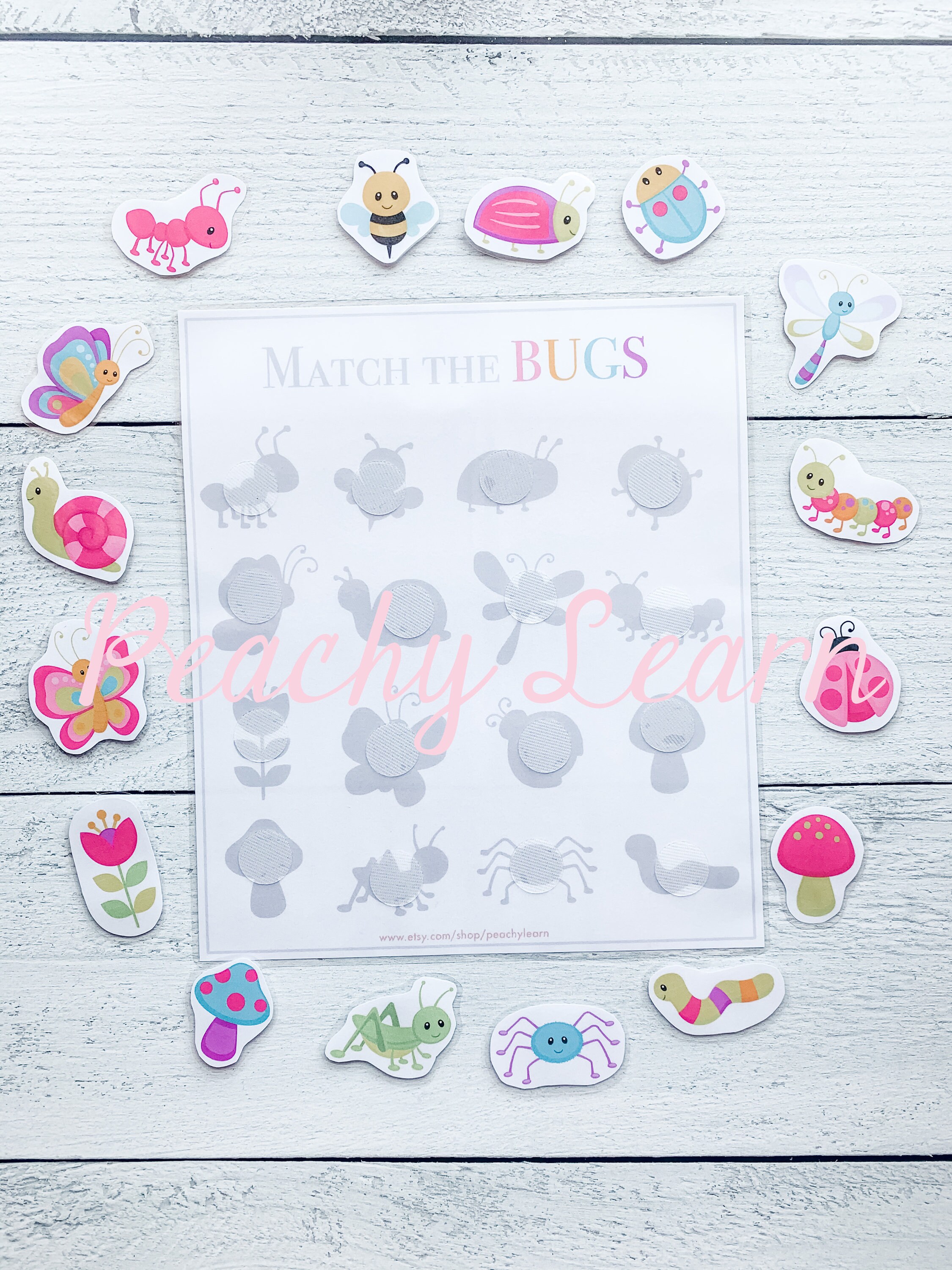 Bugs Shape Matching, Memory Game, Learning, Preschool, Homeschool ...