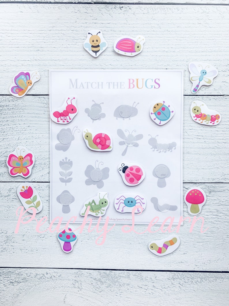 Bugs Shape Matching, Memory Game, Learning, Preschool, Homeschool ...