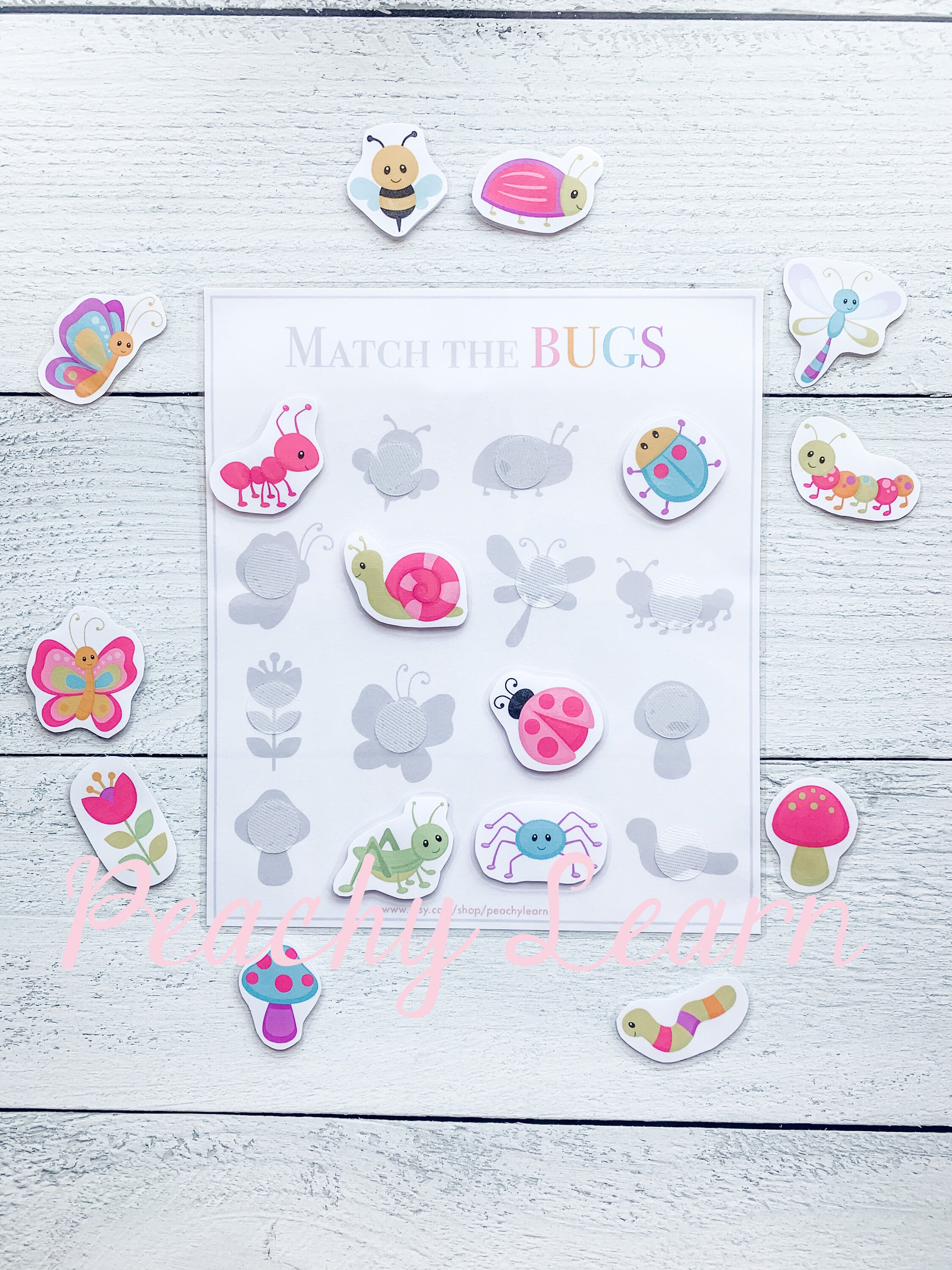 Bugs Shape Matching, Memory Game, Learning, Preschool, Homeschool ...