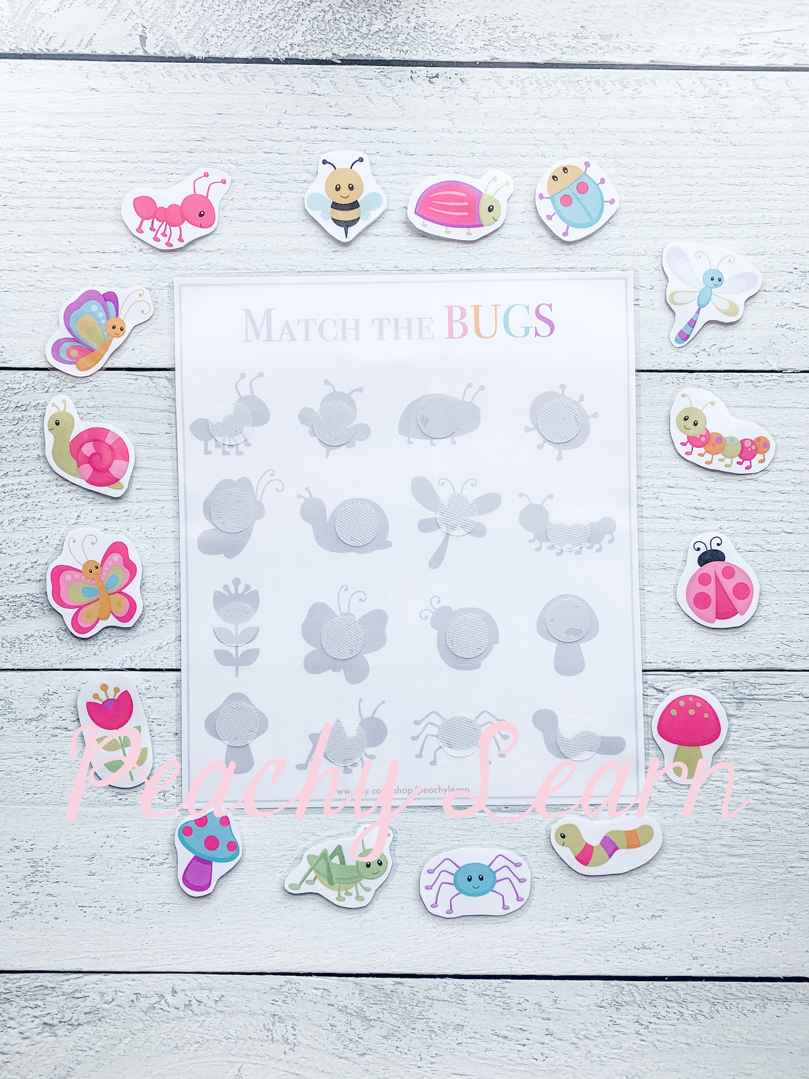 Bugs Shape Matching, Memory Game, Learning, Preschool, Homeschool ...