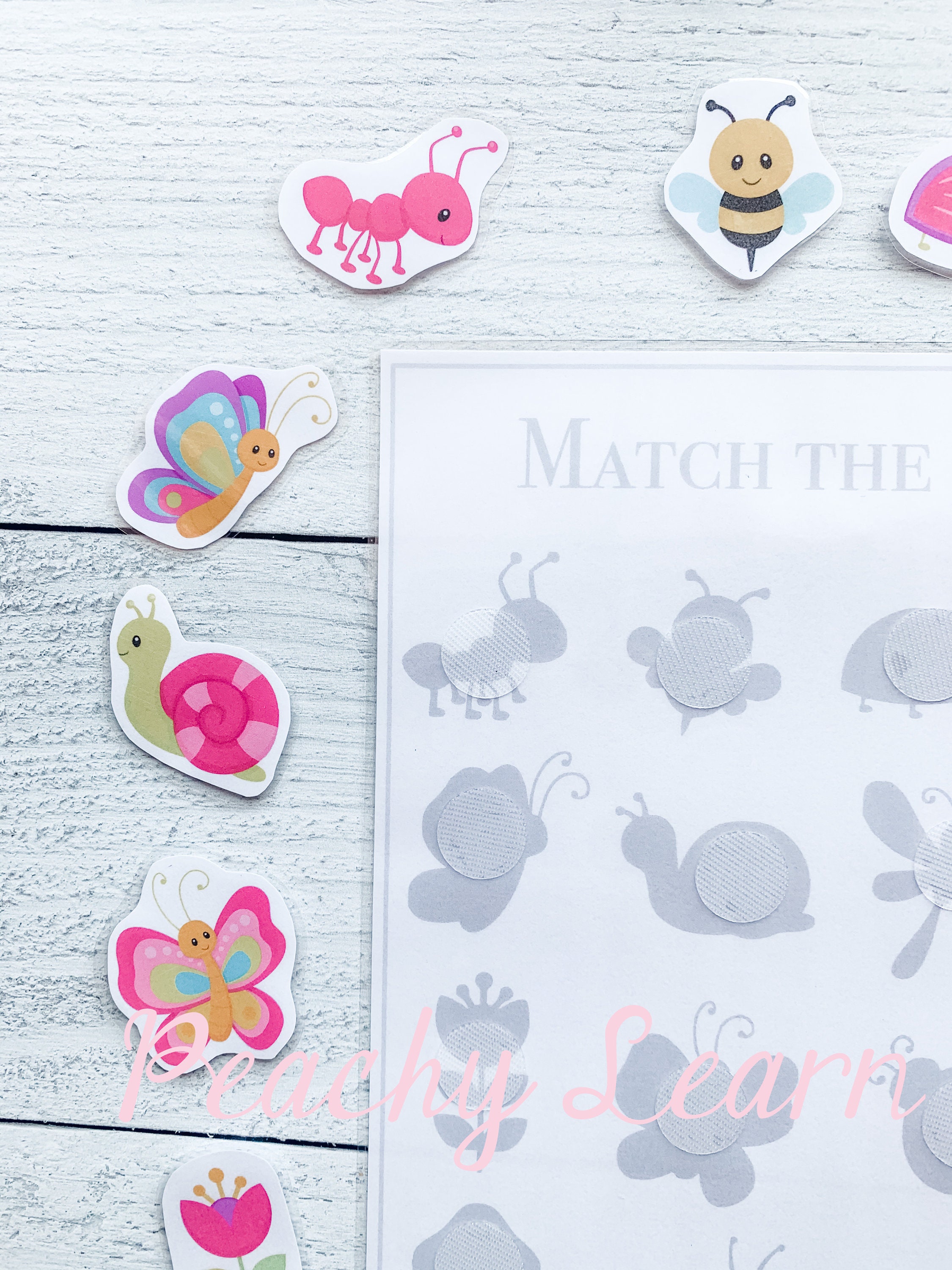 Bugs Shape Matching, Memory Game, Learning, Preschool, Homeschool ...