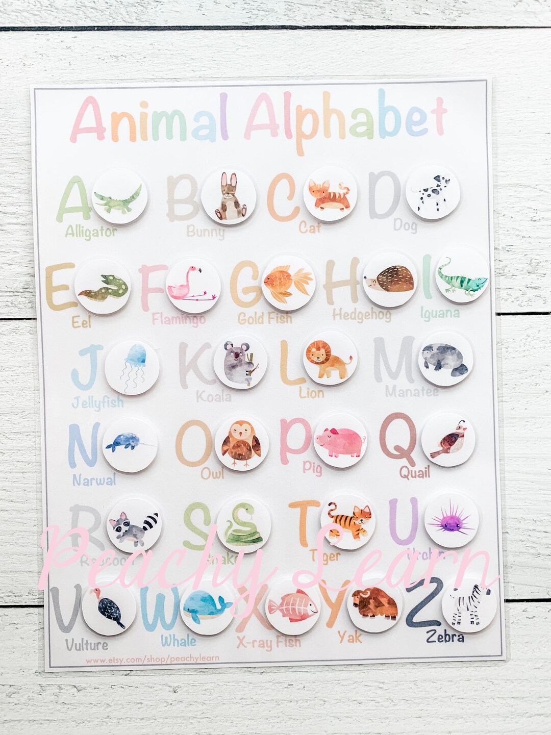 Animal Alphabet Printable Sorting Learning Time, Preschool, Homeschool ...