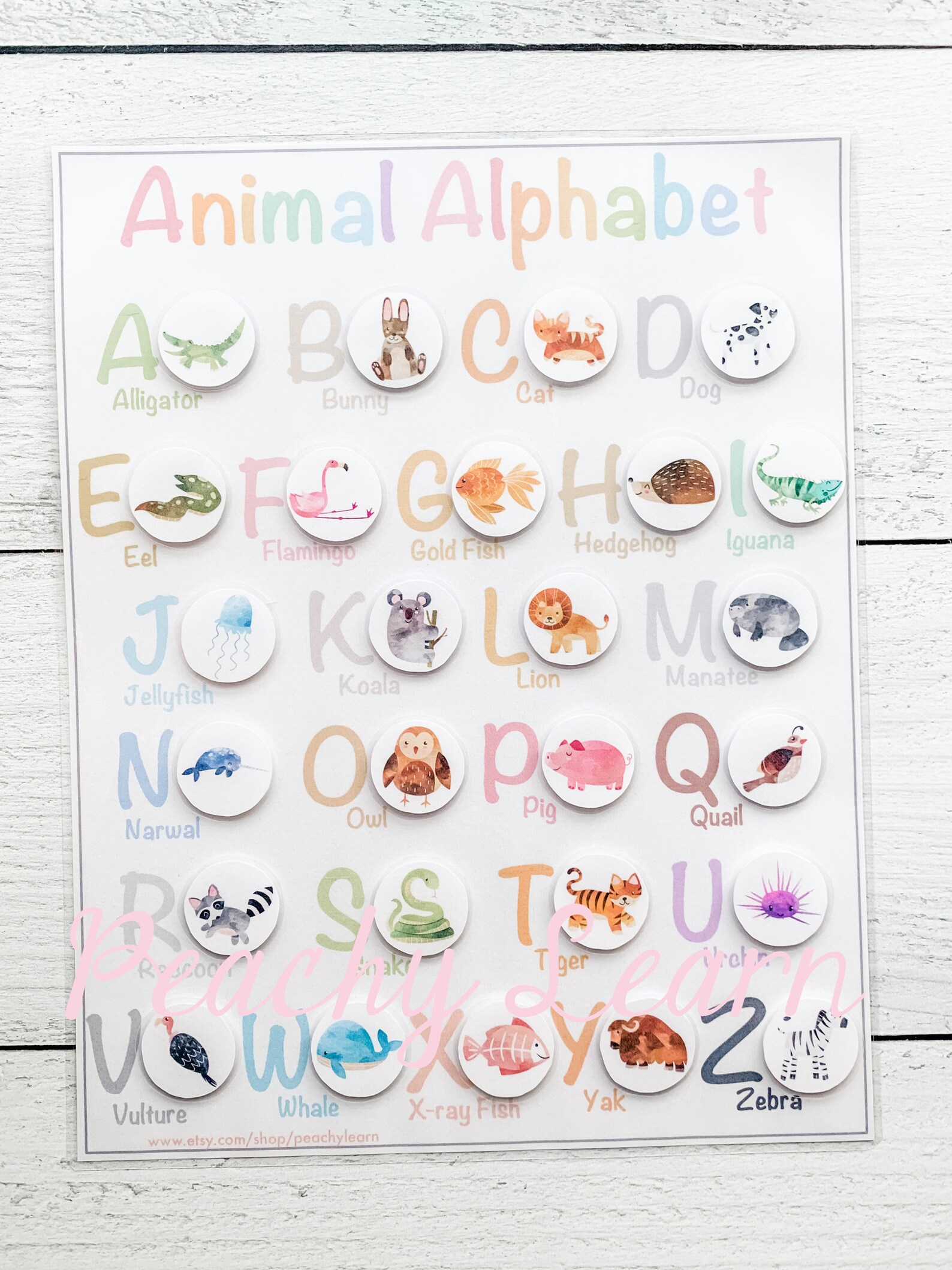 Animal Alphabet Printable Sorting Learning Time, Preschool, Homeschool ...