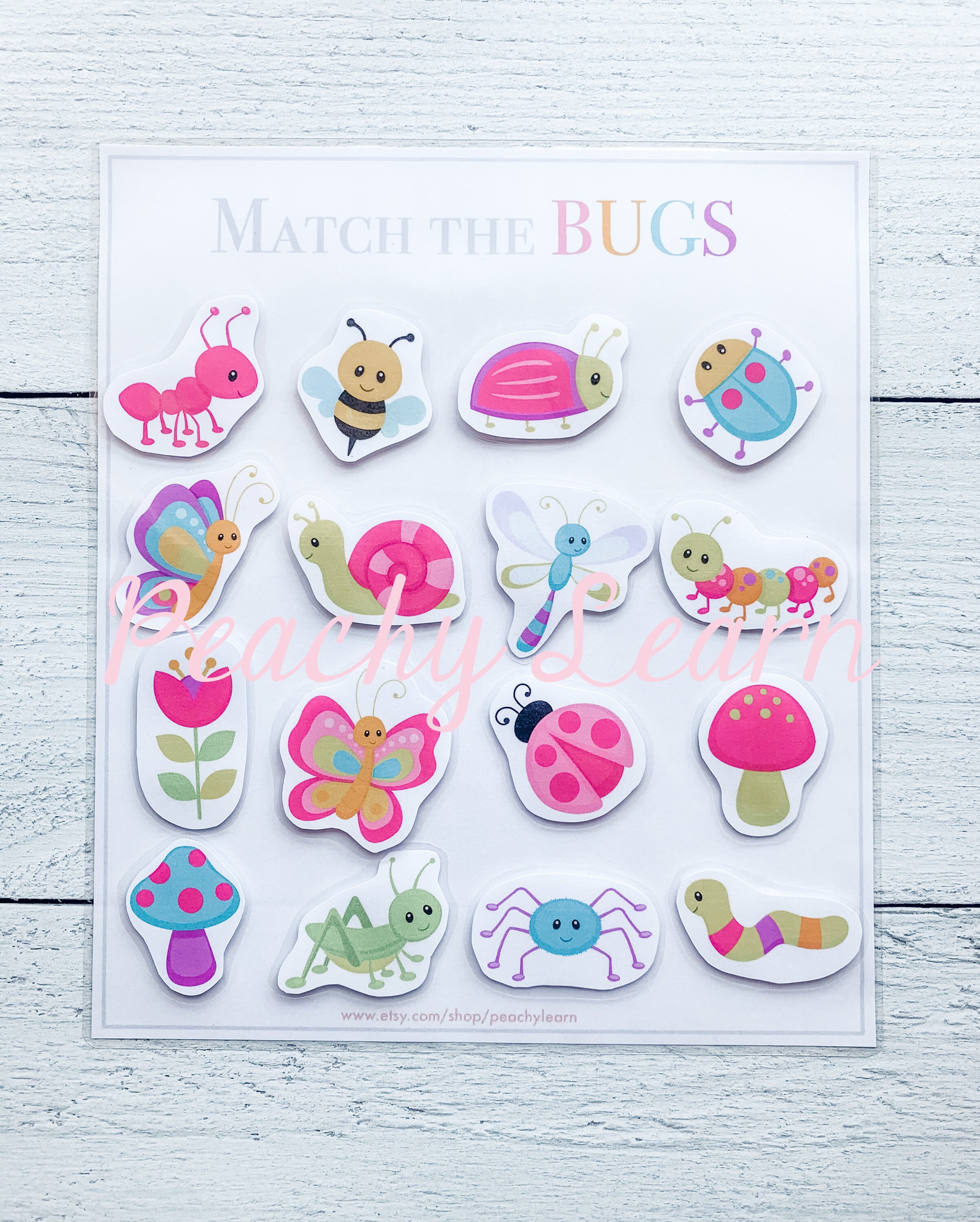 Bugs Shape Matching, Memory Game, Learning, Preschool, Homeschool ...