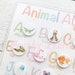 Animal Alphabet Printable Sorting Learning Time, Preschool, Homeschool ...