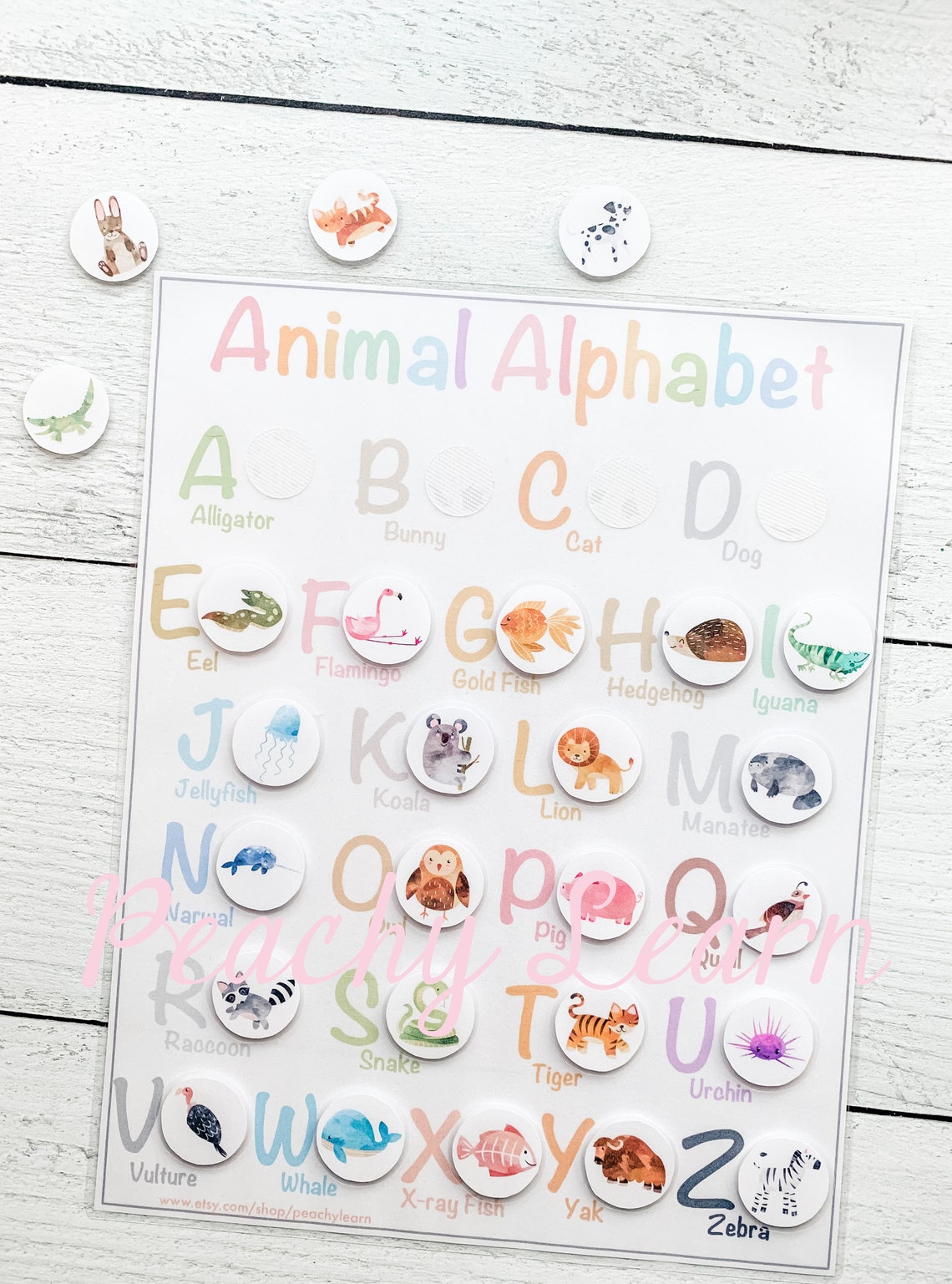 Animal Alphabet Printable Sorting Learning Time, Preschool, Homeschool ...