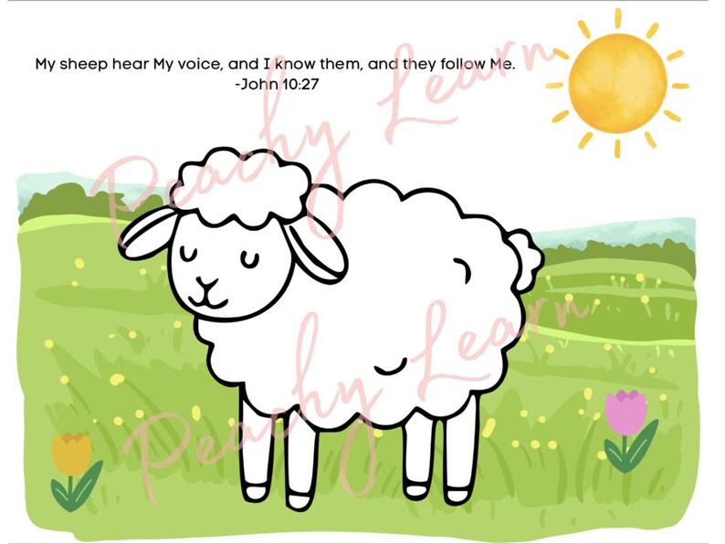 Cotton Ball Sheep Craft, Sheep Coloring Activity, Kids Sunday School ...