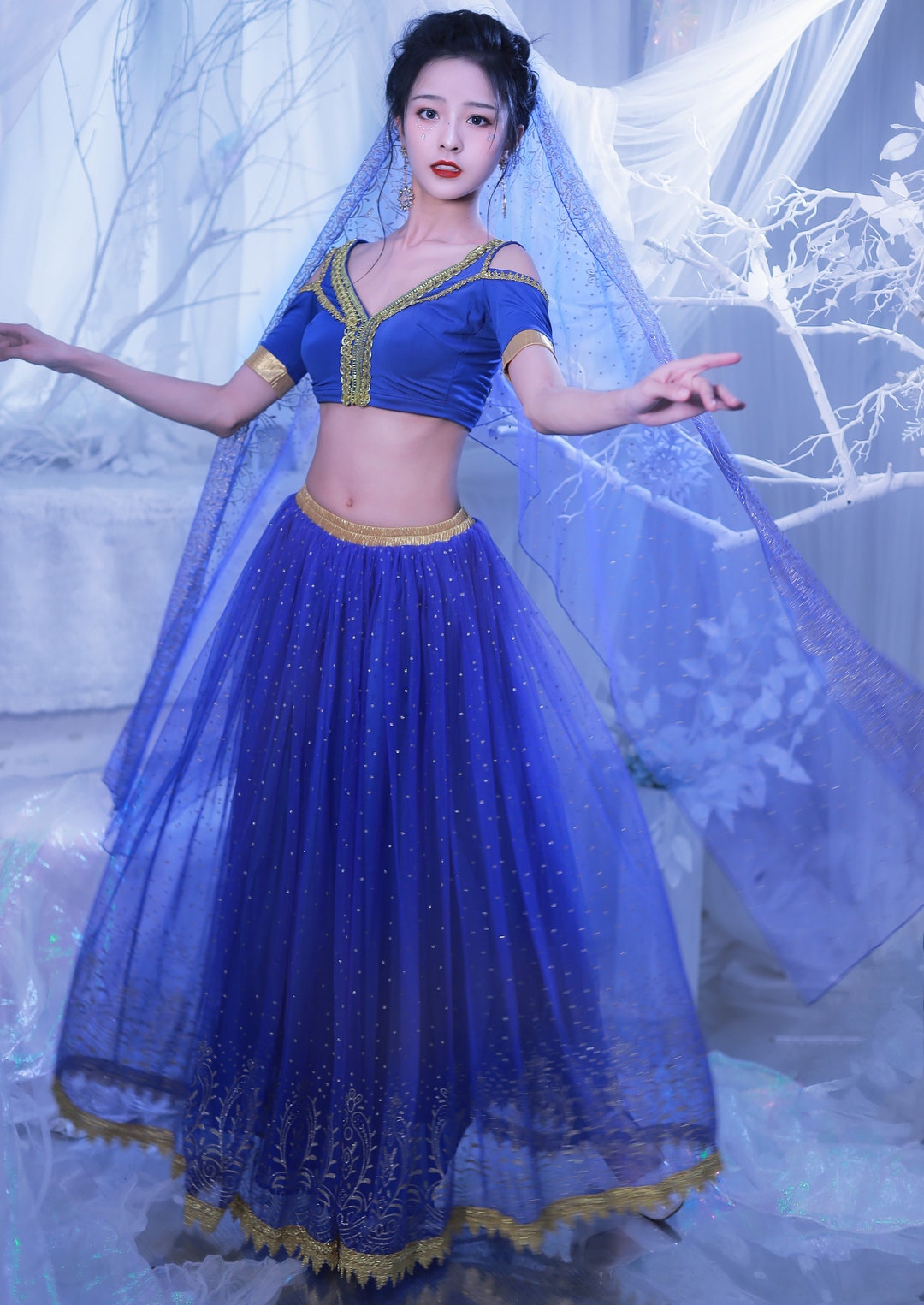 Elsa Princess Dress Belly Dance Outfit Indian Dance Embroider Bollywood ...