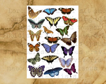 4 Sheets of Vintage Butterflies / Collage Printable / Fussy - Etsy