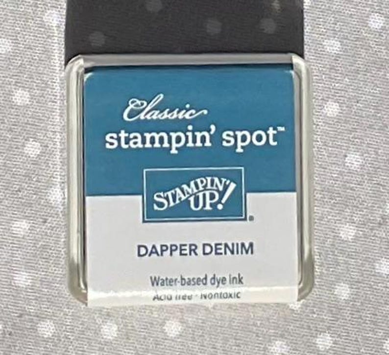Classic Stampin up Ink Spots, My Paper Pumpkin Spots, Coastal Cabana ...