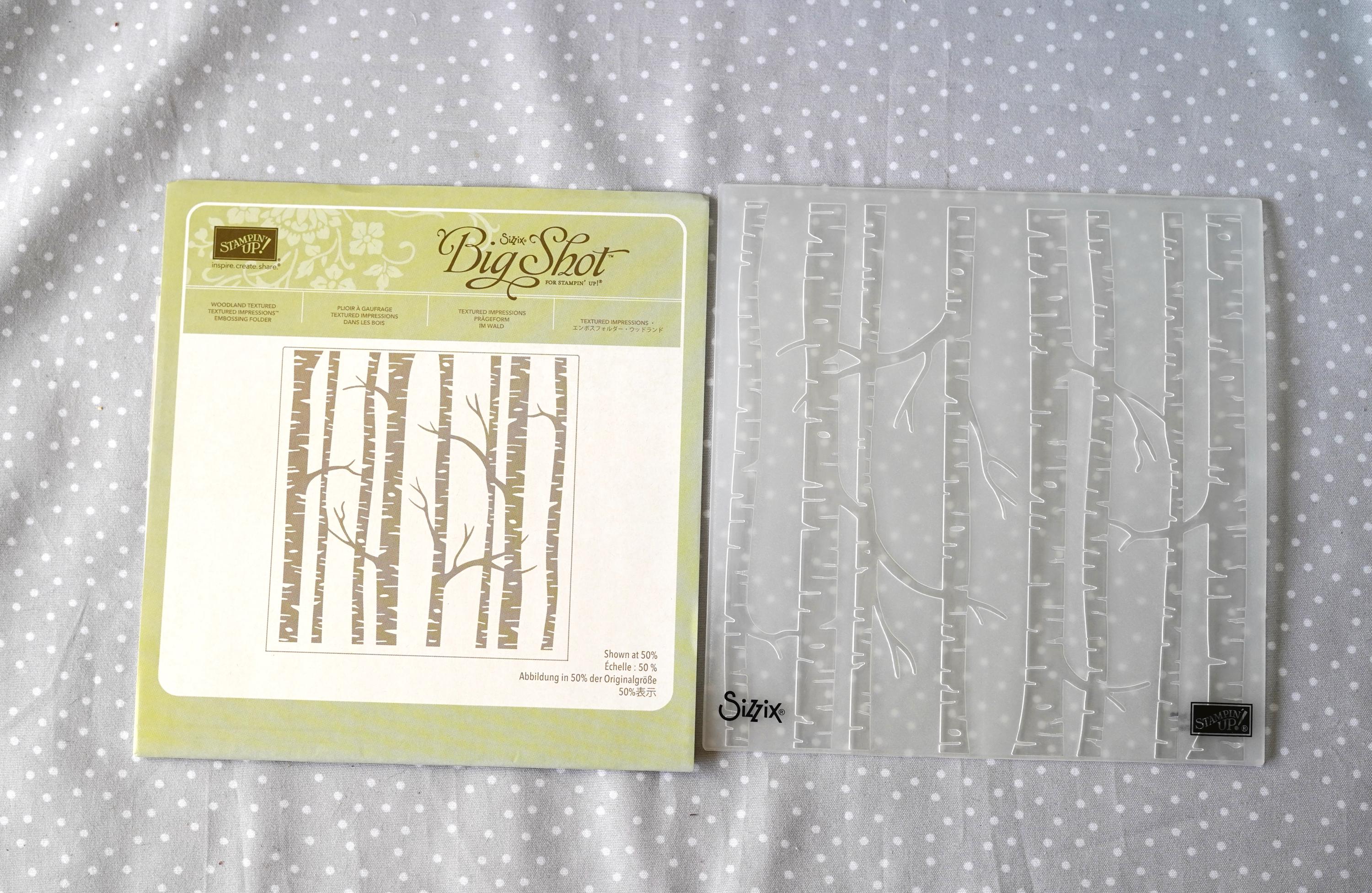 Retired Stampin up Embossing Folder Hexagon/petal Burst/wildflower ...