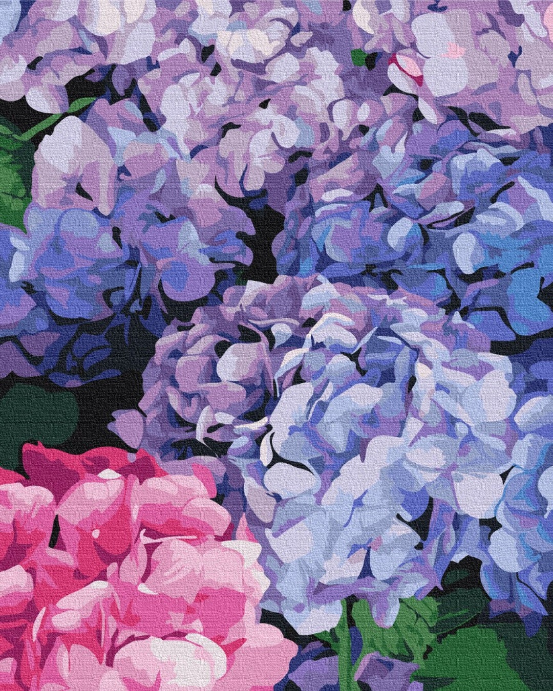 Paint by Number Hydrangea, Floral Paint by Number Kit for Adults With ...