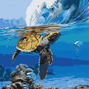 Paint by Number Sea Turtle, Painting by Numbers Kit for Adult With ...