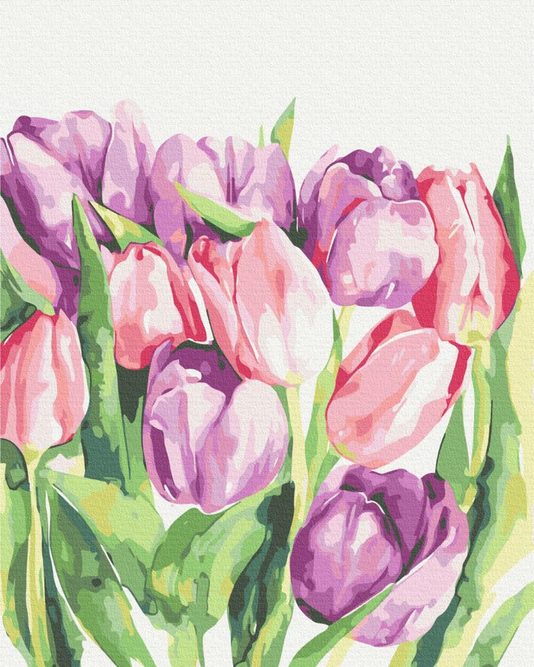 Paint by Numbers Kit for Adults With Framed Canvas Tulip Flowers ...