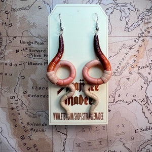 Earthworm Earrings | Polymer Clay | Made to Order - Etsy