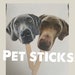 Pic Sticks 6 Pack - Etsy