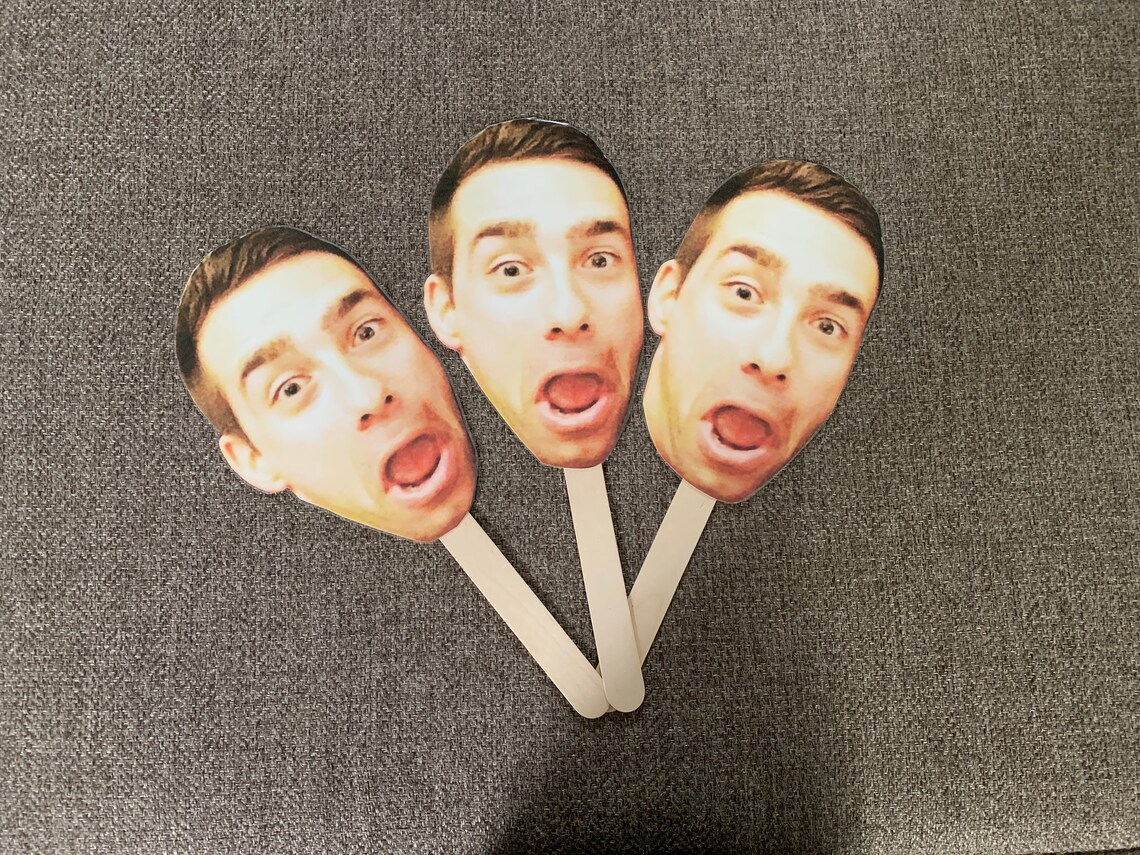 Pic Sticks 6 Pack | Etsy