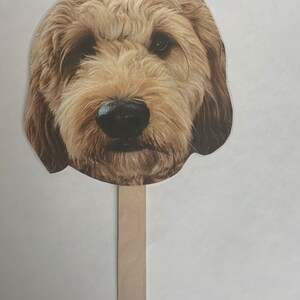 Pic Sticks 6 Pack - Etsy