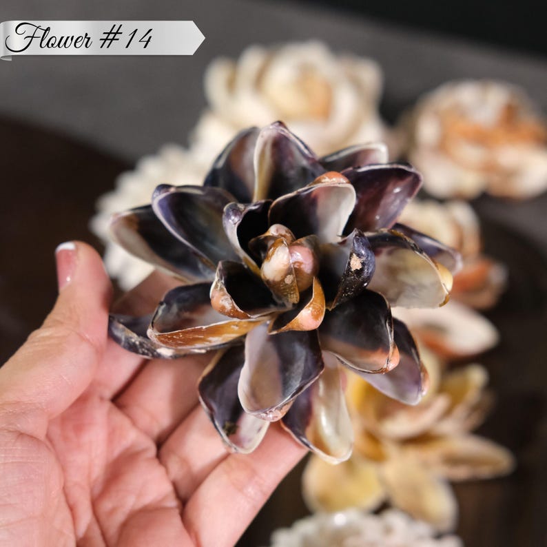 Various Seashell Flower Decor, Andmade Coastal Table Centerpiece ...