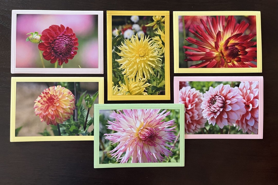 Flower Photo Note Cards, Set of 6 Handmade Blank Photo Cards With ...