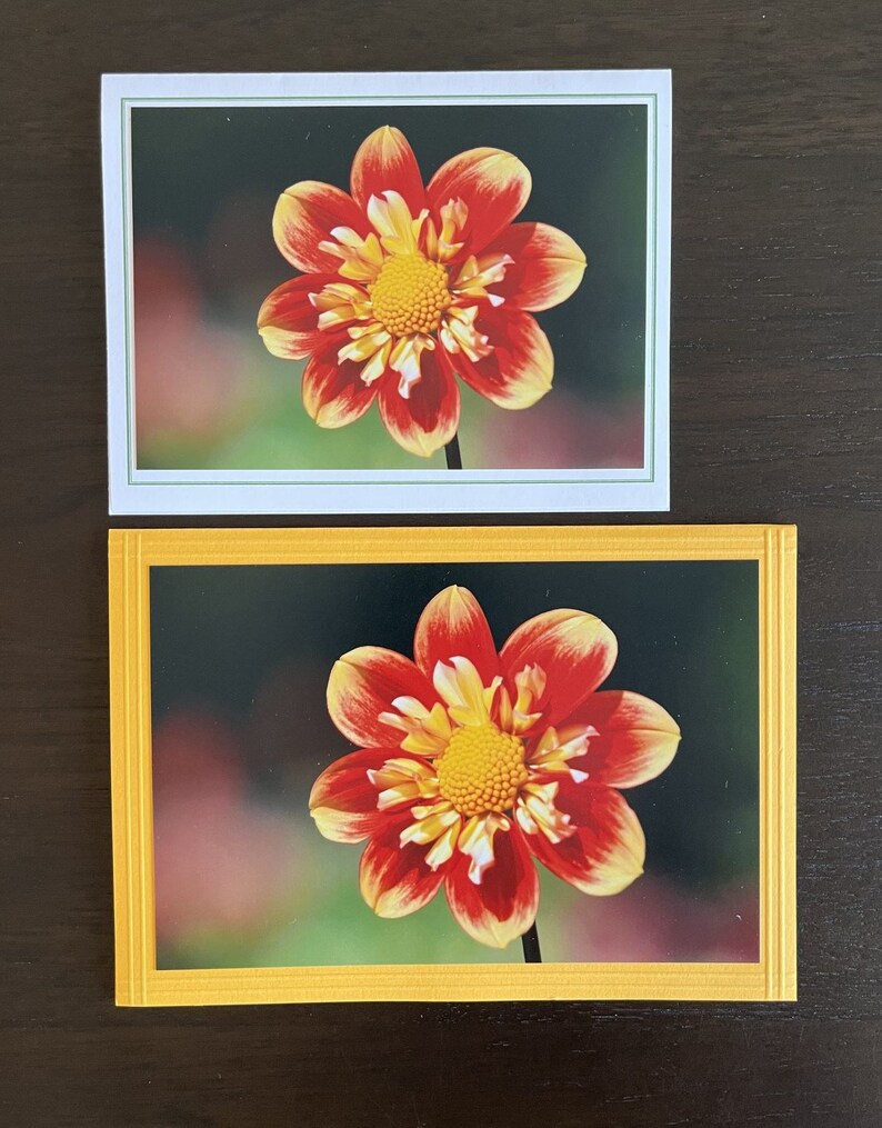 Flower Photo Note Cards, Set of 6 Handmade Blank Photo Cards With ...