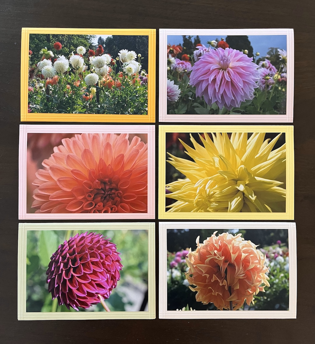 Dahlia Flower Photo Note Card Set, Handmade Folded Blank Cards - Etsy