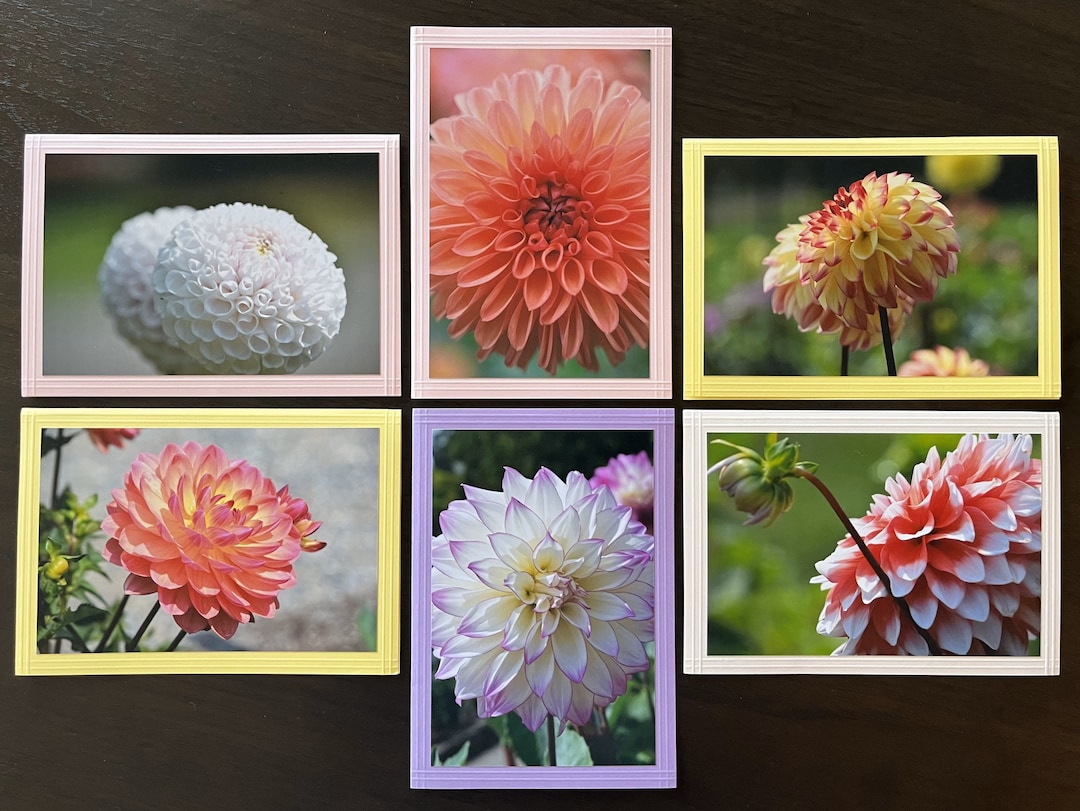 Flower Photo Note Cards, Set of 6 Handmade Blank Photo Cards With ...