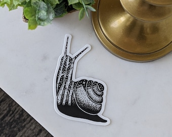 Night Sky Snail Vinyl Sticker - Etsy