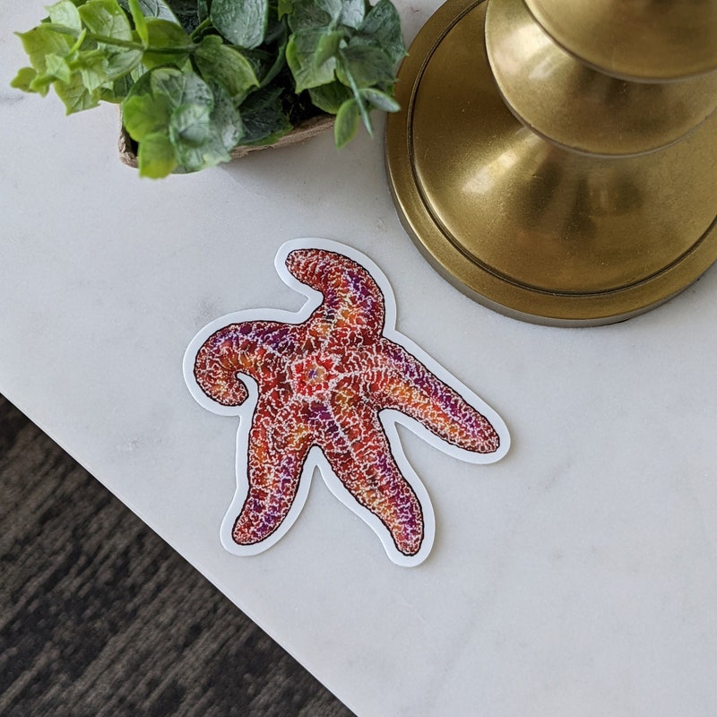 Starfish Sticker - Etsy