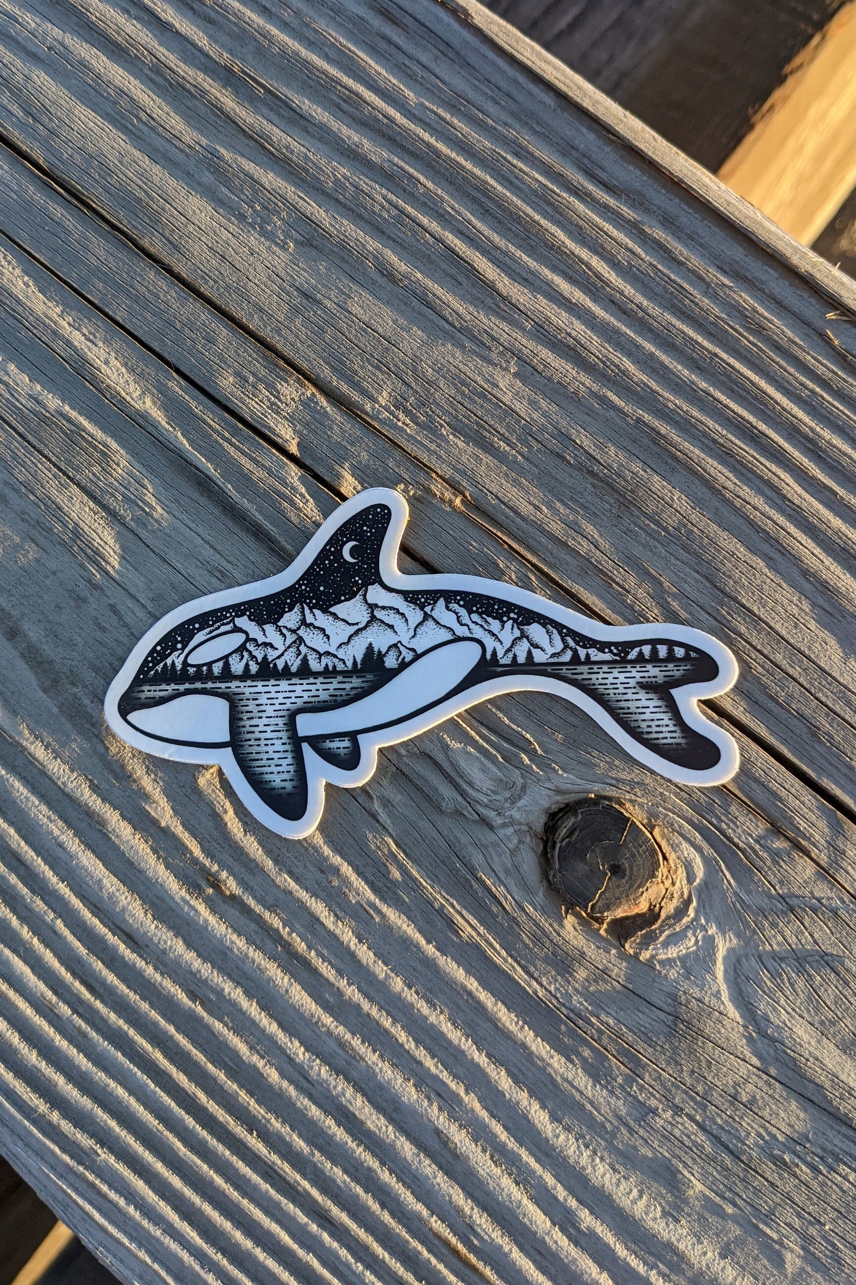 Orca Vinyl Sticker | Etsy