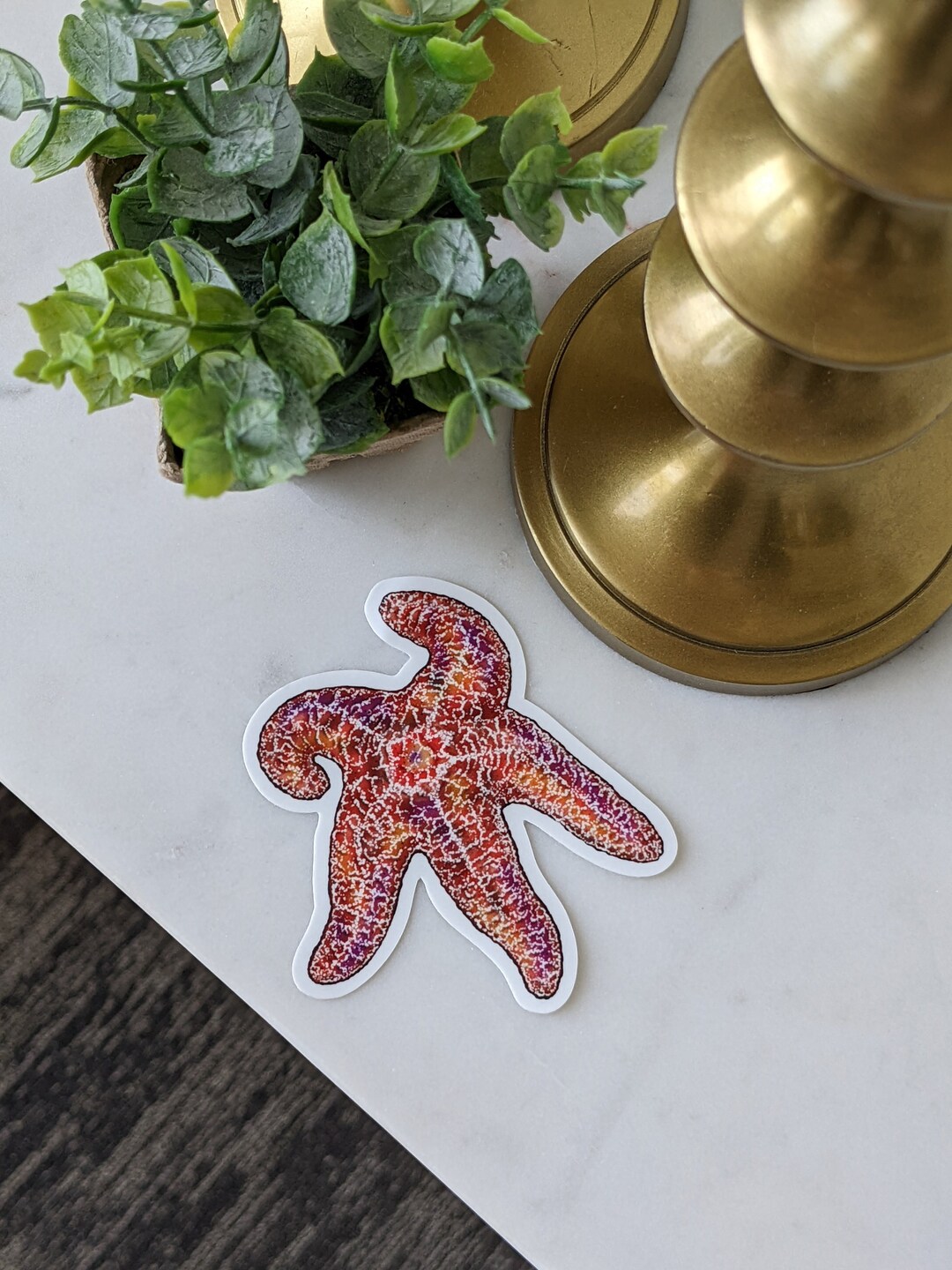 Starfish Vinyl Sticker - Etsy