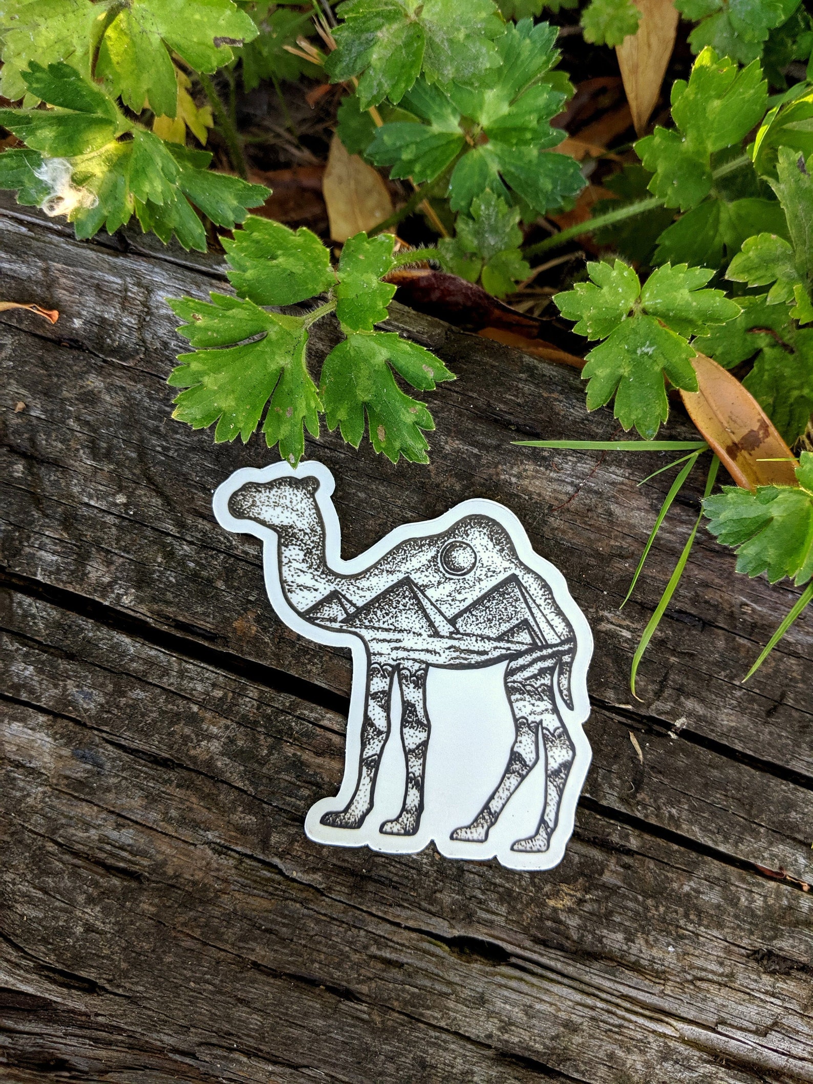 Camel Vinyl Sticker - Etsy