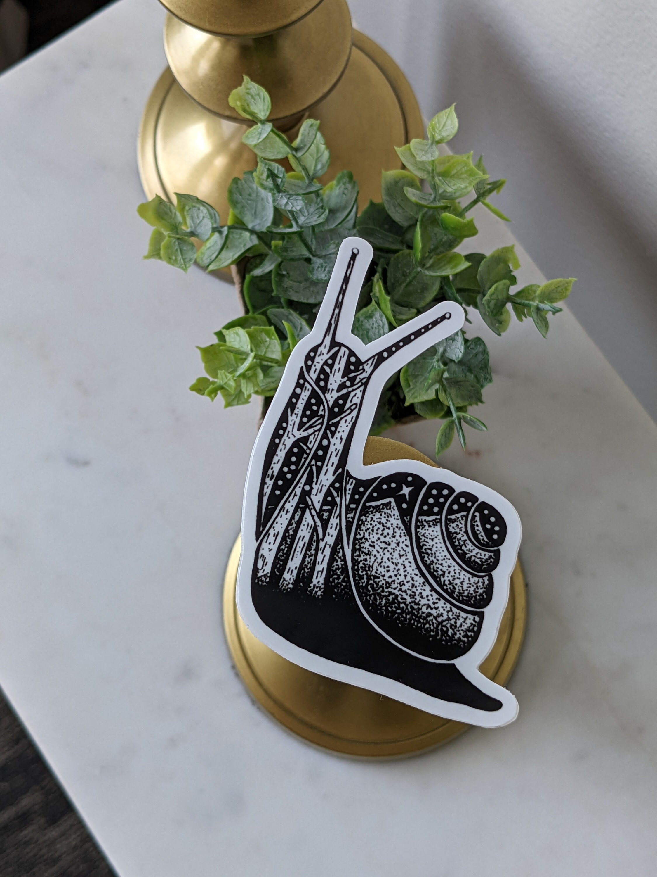 Snail Vinyl Sticker - Etsy