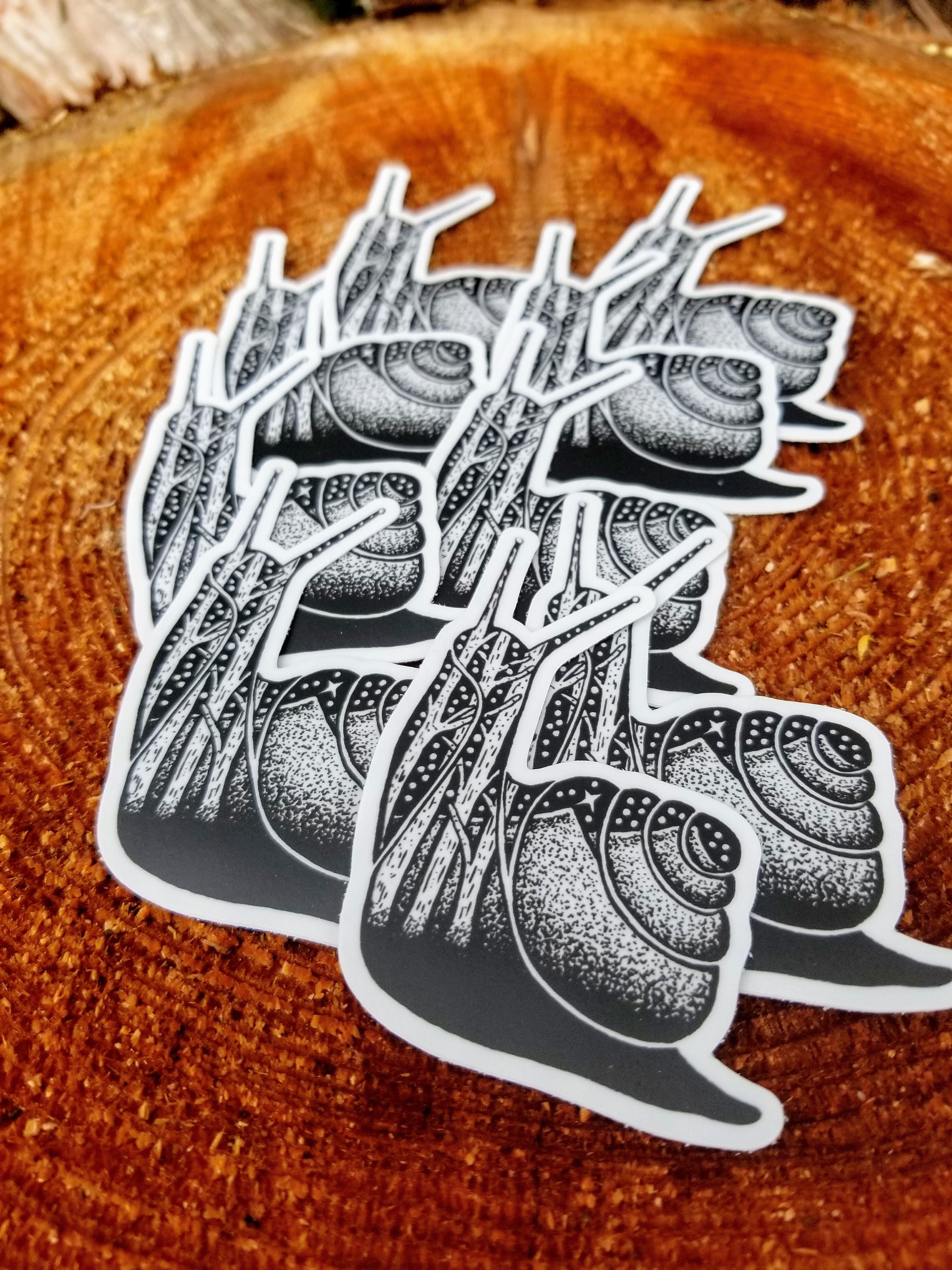 Snail Vinyl Sticker - Etsy