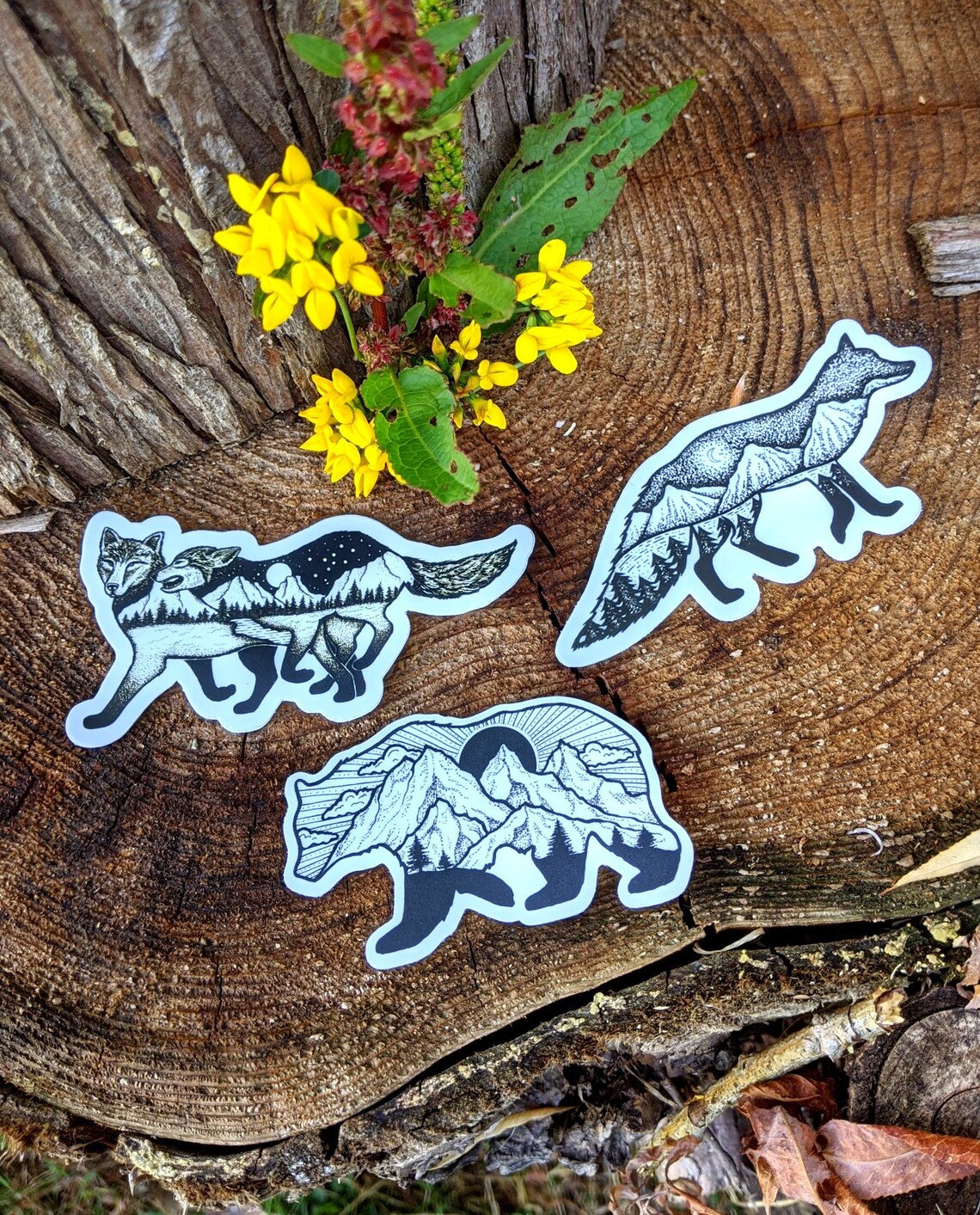 Carnivores Vinyl Sticker Collection Bundle of 3 - Etsy