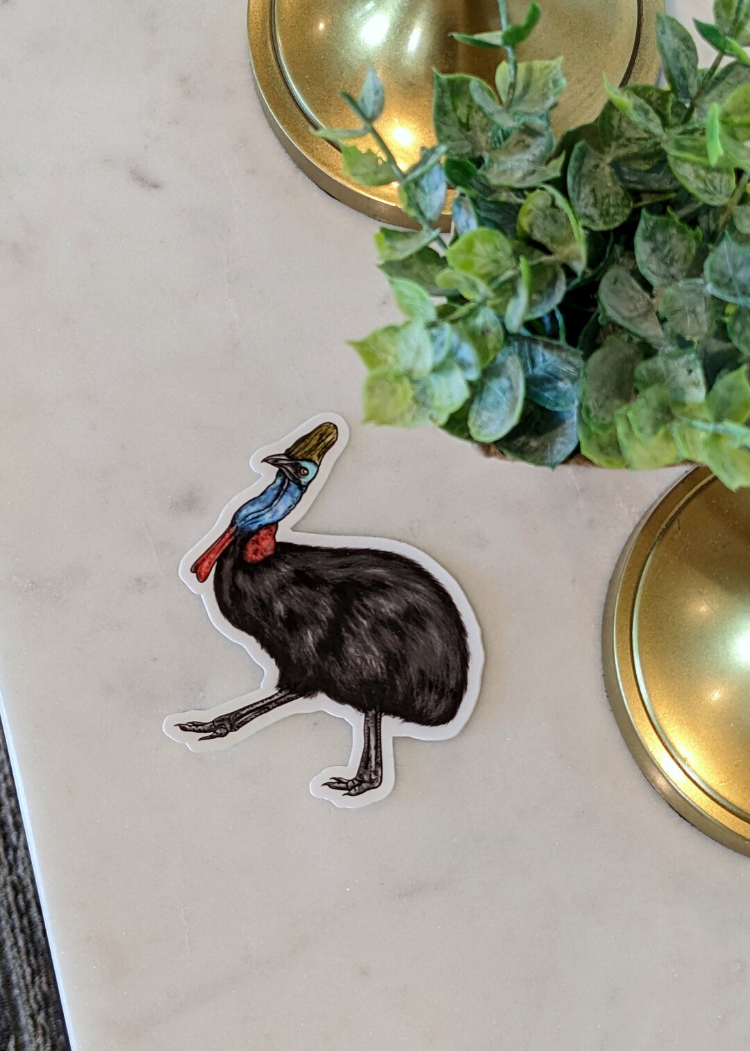 Cassowary Vinyl Sticker - Etsy